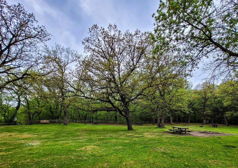 Campgrounds | Discover Staples, MN