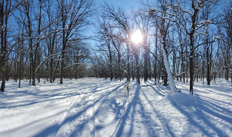 Your Winter Vacation/Staycation Itinerary - Discover Staples